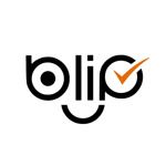 PT Blip Integrator Provider