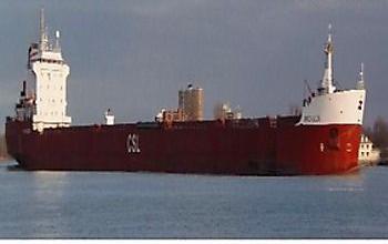 PT Forecastle Indonesia