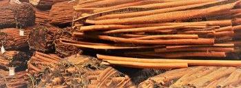 PT Collins Higgins Consulting Indonesia