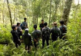 PT Collins Higgins Consulting Indonesia